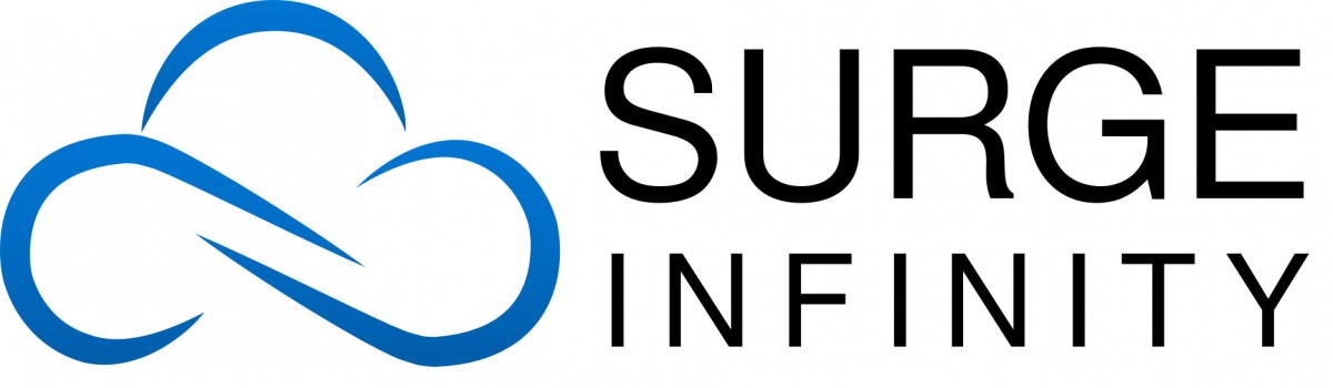 Salesforce Data Management – Surgeinfinity